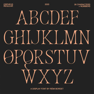 Arkham Display Font | Remi Bordet | Studio Innate | Font Download