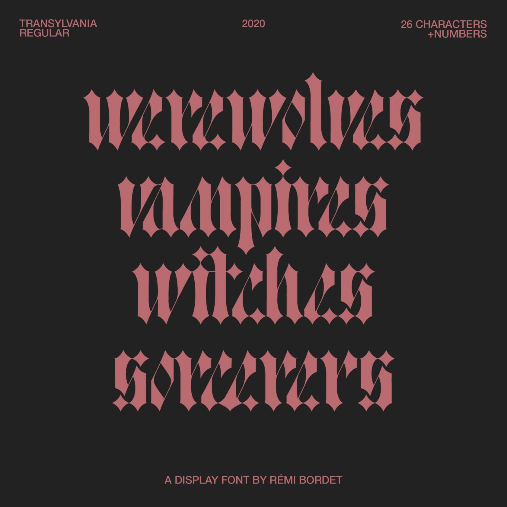 Transylvania Display Font | Remi Bordet | Download | Studio Innate