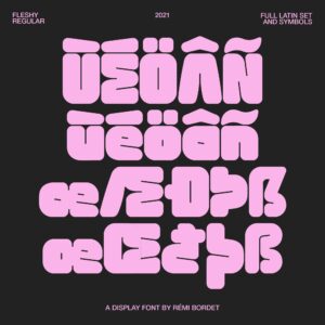 Fleshy Display Font | Remi Bordet | Font Download | Studio Innate