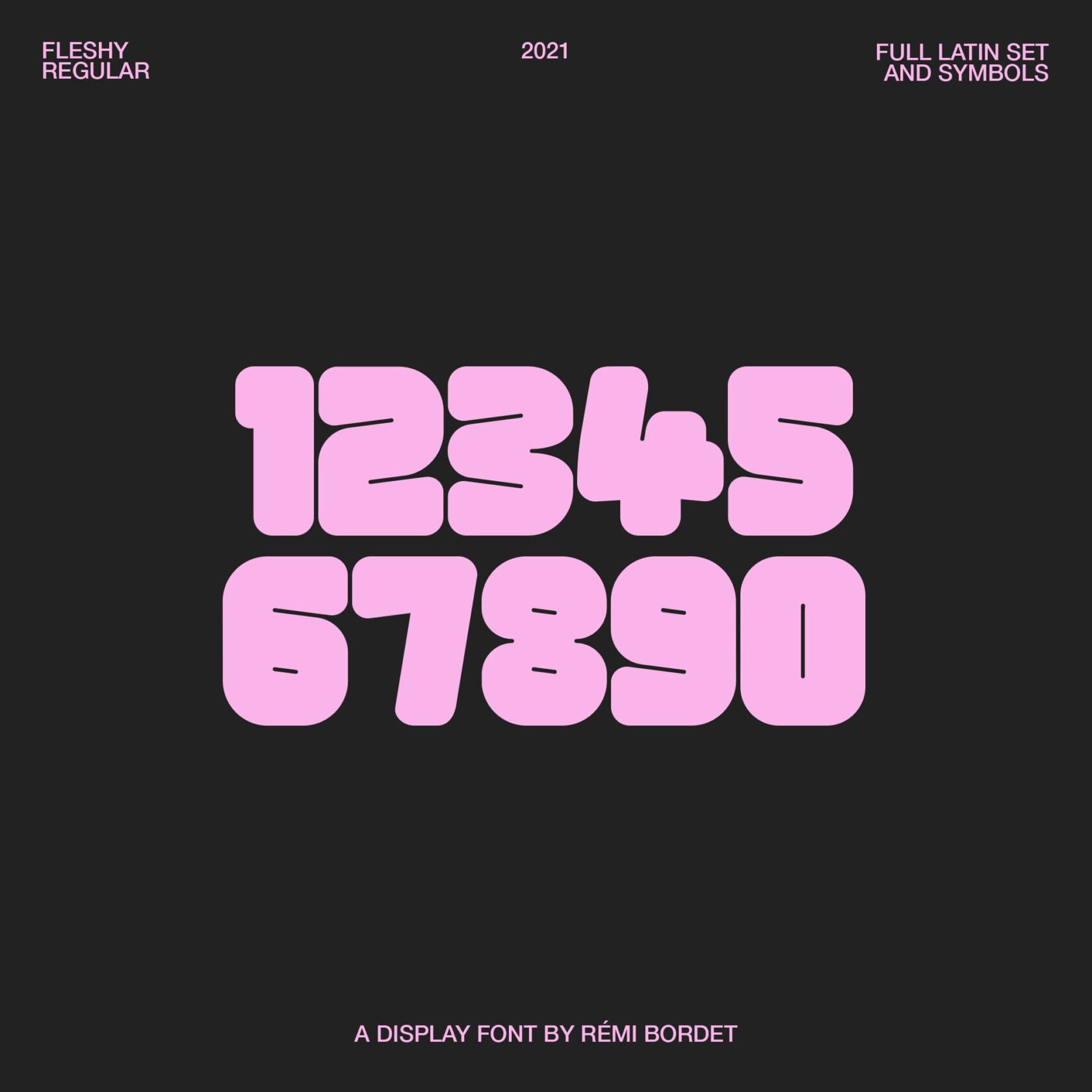 Fleshy Display Font | Remi Bordet | Font Download | Studio Innate