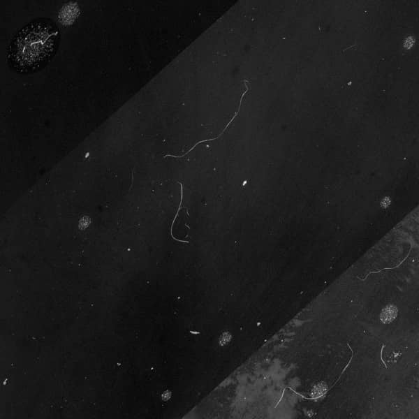 Ink Drops | Displacement Map | Photoshop Template | Studio Innate